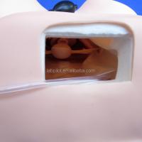 China User-Friendly Basic Gynecological Examination Model for Patients Care Demonstration for sale