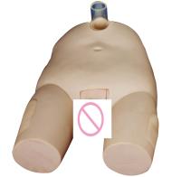 China PVC Male/Female Bladder Irrigation Training Model Catheterization Skills and Puncture Operation Simulator for sale