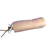 China Medical Science Venipuncture and Blood Transfusion Practice Model with IV Elbow Model for sale
