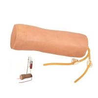 China Medical Science Venipuncture and Blood Transfusion Practice Model with IV Elbow Model for sale