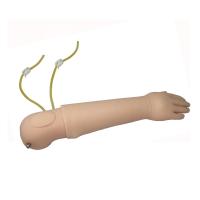 China Human Life Size Manikin Portable Infant Venipuncture Training Arm Model IV Arm Injection Teaching Hand Phantom for sale