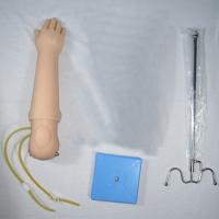 China Human Life Size Manikin Portable Infant Venipuncture Training Arm Model IV Arm Injection Teaching Hand Phantom for sale