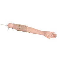 China Full Arm Simulator Clinical Teaching for Intradermal Injection and Venipuncture Practice for sale