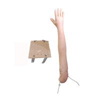 China Full Arm Simulator Clinical Teaching for Intradermal Injection and Venipuncture Practice for sale