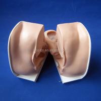 China Family Planning Contraception Guidance Model Human Life Size IUD Placement and Remova for sale