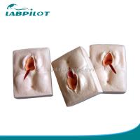 China GYN Skills Teaching 3-Set Perineum Suturing Simulator and Episiotomy Wound Suturing Model for sale