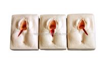 China GYN Skills Teaching 3-Set Perineum Suturing Simulator and Episiotomy Wound Suturing Model for sale