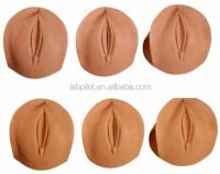 China Effaced and Dilated Demonstration Cervix Model for Advanced Maternity Care Simulation for sale