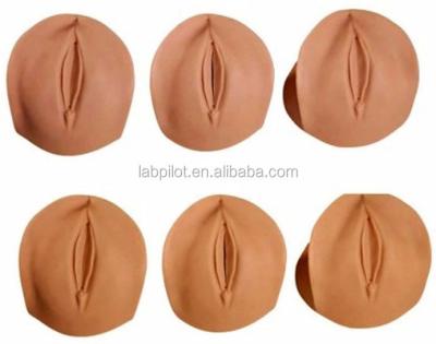 China Effaced and Dilated Demonstration Cervix Model for Advanced Maternity Care Simulation for sale