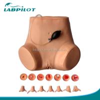 China Comprehensive Gynecological Examination Training Manikin with Various Cervix and Uterus Models for sale