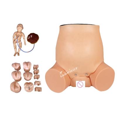 China Obstetrics-Gynecology Model Pregnant Woman Care Simulator for Obstetrics Training for sale