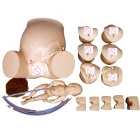 China Obstetrics-Gynecology Model Pregnant Woman Care Simulator for Obstetrics Training for sale
