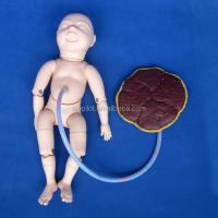 China Obstetrics-Gynecology Model Pregnant Woman Care Simulator for Obstetrics Training for sale