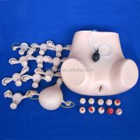 China Maternity Care Training with Advanced Gynecological Nursing Model GYN Training Manikin for sale