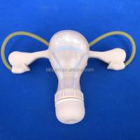 China Maternity Care Training with Advanced Gynecological Nursing Model GYN Training Manikin for sale