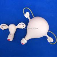 China Maternity Care Training with Advanced Gynecological Nursing Model GYN Training Manikin for sale