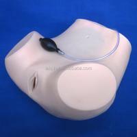 China Maternity Care Training with Advanced Gynecological Nursing Model GYN Training Manikin for sale