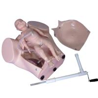 China Leopold Maneuvers Midwifery Obstetrical Birthing Manikin Human Life Size for sale