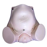 China Leopold Maneuvers Midwifery Obstetrical Birthing Manikin Human Life Size for sale