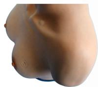 China Gynecological Skills Teaching Manikin for Breast Inspection and Palpation Simulator for sale