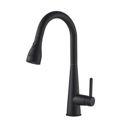 China Pull Out Kitchen Faucet Made from 304 Stainless Steel Featuring 35mm Ceramic Cartridge with 3 Function Spray Head and Two Flexible Stainless Steel Hoses for sale
