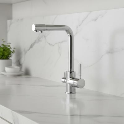 China Oersitor 3-in-1 Kitchen Faucet Dual Swivel Spout Drinking Water Filter Brass Purifier Vessel Sink Mixer Tap Hot and Cold Water Torneira (DW04 chrome) for sale