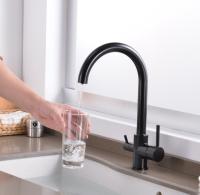 China Oersitor 3-in-1 Kitchen Faucet Dual Swivel Spout Drinking Water Filter Brass Purifier Vessel Sink Mixer Tap Hot and Cold Water Torneira (DW05 black) for sale