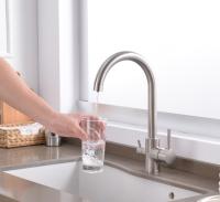 China Oersitor 3-in-1 Kitchen Faucet Dual Swivel Spout Drinking Water Filter Brass Purifier Vessel Sink Mixer Tap Hot and Cold Water Torneira (DW05 brush nickel) for sale