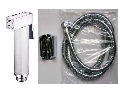China Oersitor Bathroom Hand Shower Shower Hose ABS/Zinc Bathroom Hardware Accessories Shower Fittings Renovation (FS-58H) for sale