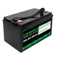 China Club Car Golf Cart Battery 45AH 24V Lithium Phosphate Battery for sale