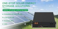 China 10kWh 51.2V 200Ah LiFePO4 Rack Mount Lithium Battery For Home Solar Energy Storage for sale