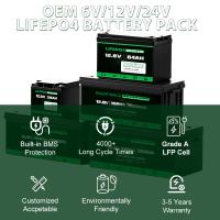 China 12.8V 100Ah LiFePO4 Battery Enerforce OEM Long Lifespan for Solar and Backup Systems for sale
