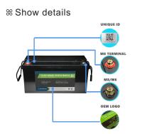 China 12v 24v 100ah 120ah 200ah 300ah Lifepo4 Bluetooth Iron Phosphate Battery Batterie 100 Kwh Lithium Pack With Bluetooth for sale