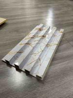 China Termite Proof Easy Install 160*20mm WPC Interior Wall Panel for sale
