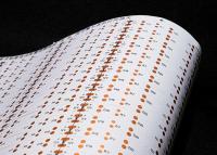 China 12V Double Layer Design FPCB Flexible Printed Circuit Board with Fire Protection Level V0 for LED Strips for sale