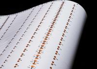 China 12V Flexible Printed Circuit Board with Double Sided White Film and 15LEDs per Piece for LED Strips for sale