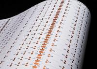 China Bespoke LED Solutions: From Rigid-Flex PCB Design to Final SMT Assembly Double Sided Chip on FPC White Film FPCB For 2835 LED Strip Flexible Circuit Board for sale
