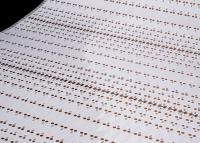 China 24V Double Sided White Film Flexible Circuit Board FPCB for LED Strip Lighting for sale