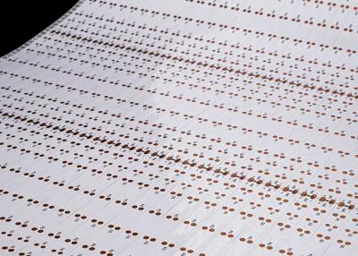 China 24V Double Sided White Film Flexible Circuit Board FPCB for LED Strip Lighting for sale