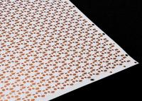 China HOT Sales FPCB FPCB - BARE - 2835-120D-40R-5MM-12V-0805 25/50?FPCB - BARE - 2835-120D-40R-5MM-12V-0805 25/50 for sale
