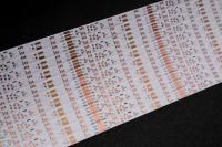 China Double Layer LED Strip FPC with Good Bending Resistance and OSP Antioxidant for Flexible Printed Circuit Board for sale
