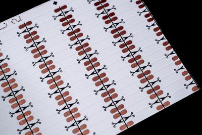 China High-Quality Double Layer Flexible PCB with White Film and OSP Antioxidant for LED Lighting for sale