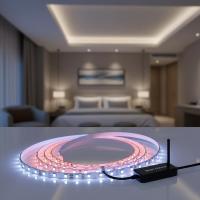 China 5050RGB 12mm FPC Flexible LED Strip Light with Smart Control for Hotel Ceiling Decoration for sale