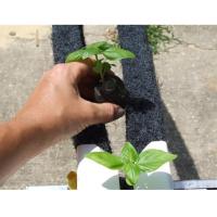 China Customized PVC Pipe Vertical Tower Grow Channel Growing System for Vertical Farming for sale