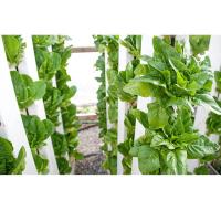 China Customized PVC Pipe Vertical Tower Grow Channel Growing System for Vertical Farming for sale