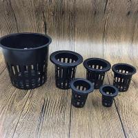 China Food Grade Plastic PP 2inch Black Mesh Net Clay Pot Hydroponic Plant Cups with Sponge for sale