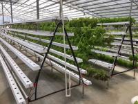China Plastic Modling Type Hydroponic Cultivation System Pvc Pipe for Year-round Harvest for sale