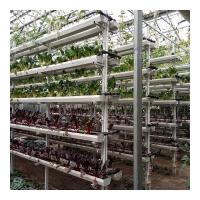 China Customize PVC NFT hydroponic pipe for water planting tube in round rectangular shape for sale