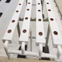 China Hydroponic Tube for Mint Lettuce Spinach Celery Scallion Coriander Strawberry Chicory for sale