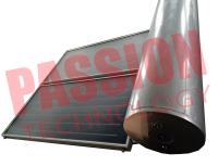 China Home Thermal Solar Hot Water Heater Direct Plug Connection With 2 Collector for sale